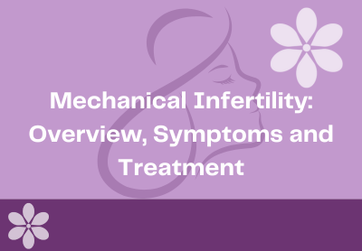 Mechanical Infertility: Overview, Symptoms and Treatment – Intimate Rose