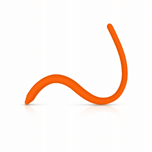 Pelvic Wand & Pelvic Floor Massage Therapy Tool – Intimate Rose