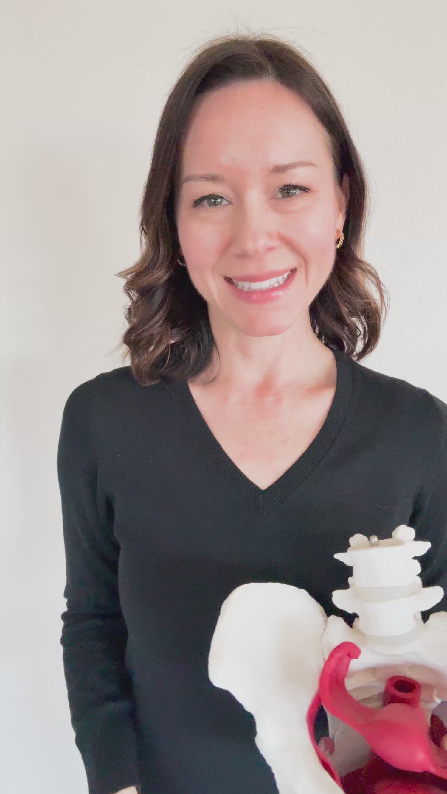 Intimate Rose Wand Videos & Product Guides